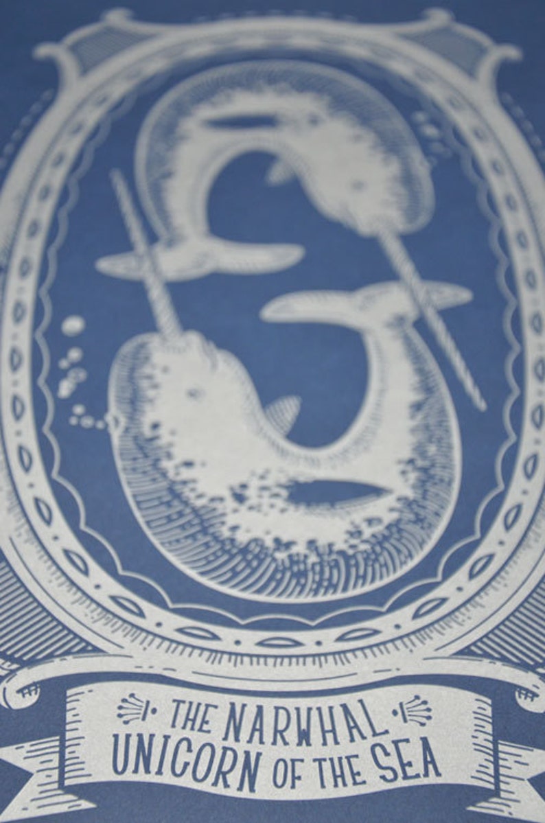 Narwhal Unicorn of the Sea POSTER 12 x 18 | Etsy