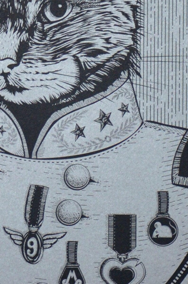 General Cat POSTER 12 X 18 Animal Art Print Feline - Etsy