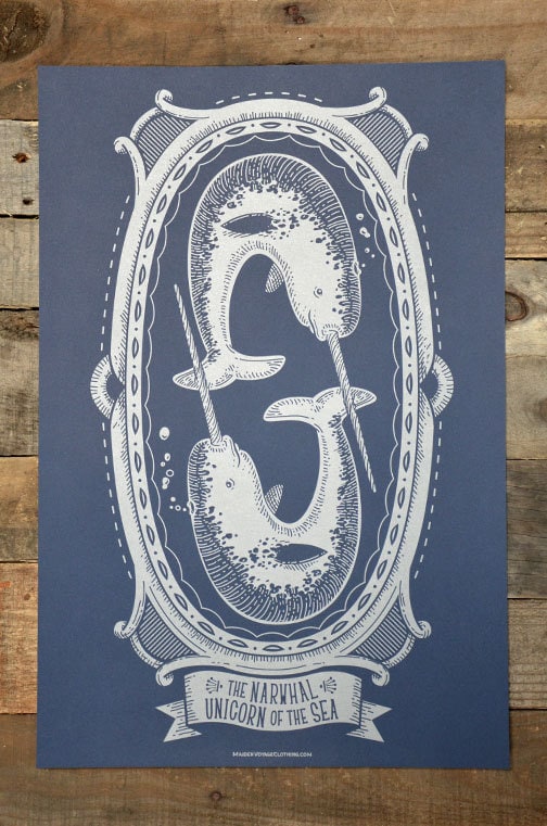Narwhal - Unicorn of the Sea POSTER 12" X 18" Narwhale Narwhals Arctic ...