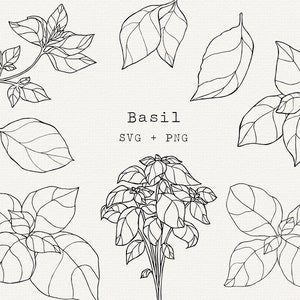 Basil SVG Clip Art, Commercial Use, Basil Plant Vector Illustration ...