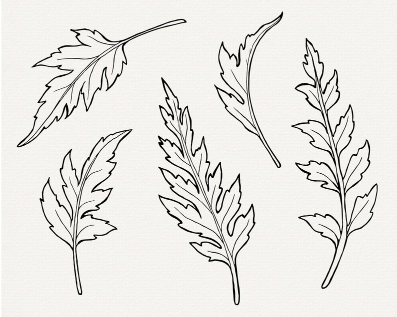 Poppy Line Art SVG: Floral Outline Vector Clip Art (commercial Use) - Etsy