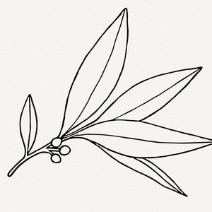 Bay Leaf SVG Clip Art, Commercial Use, Bay Plant Vector Illustration ...
