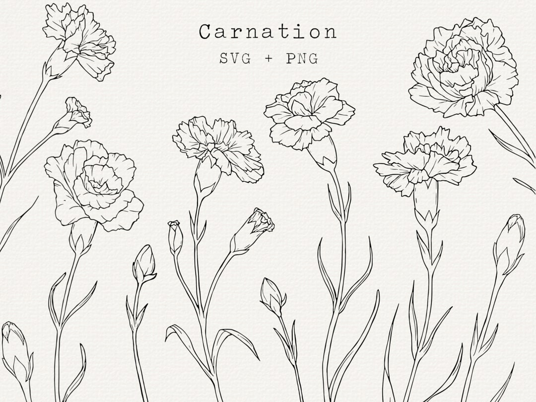 Carnation SVG, Carnations Clipart, Flower Line Art, Simple Outline ...