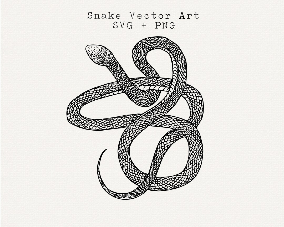 Snake SVG, Snake Svg, Snake Vector Graphics, Detailed Snake ...