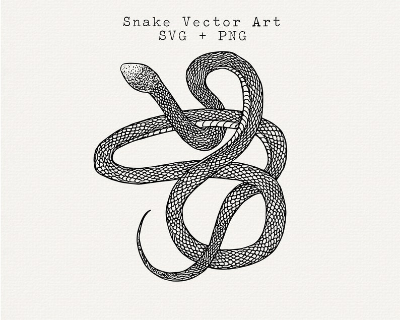 Snake SVG Snake Svg Snake Vector Graphics Detailed Snake - Etsy