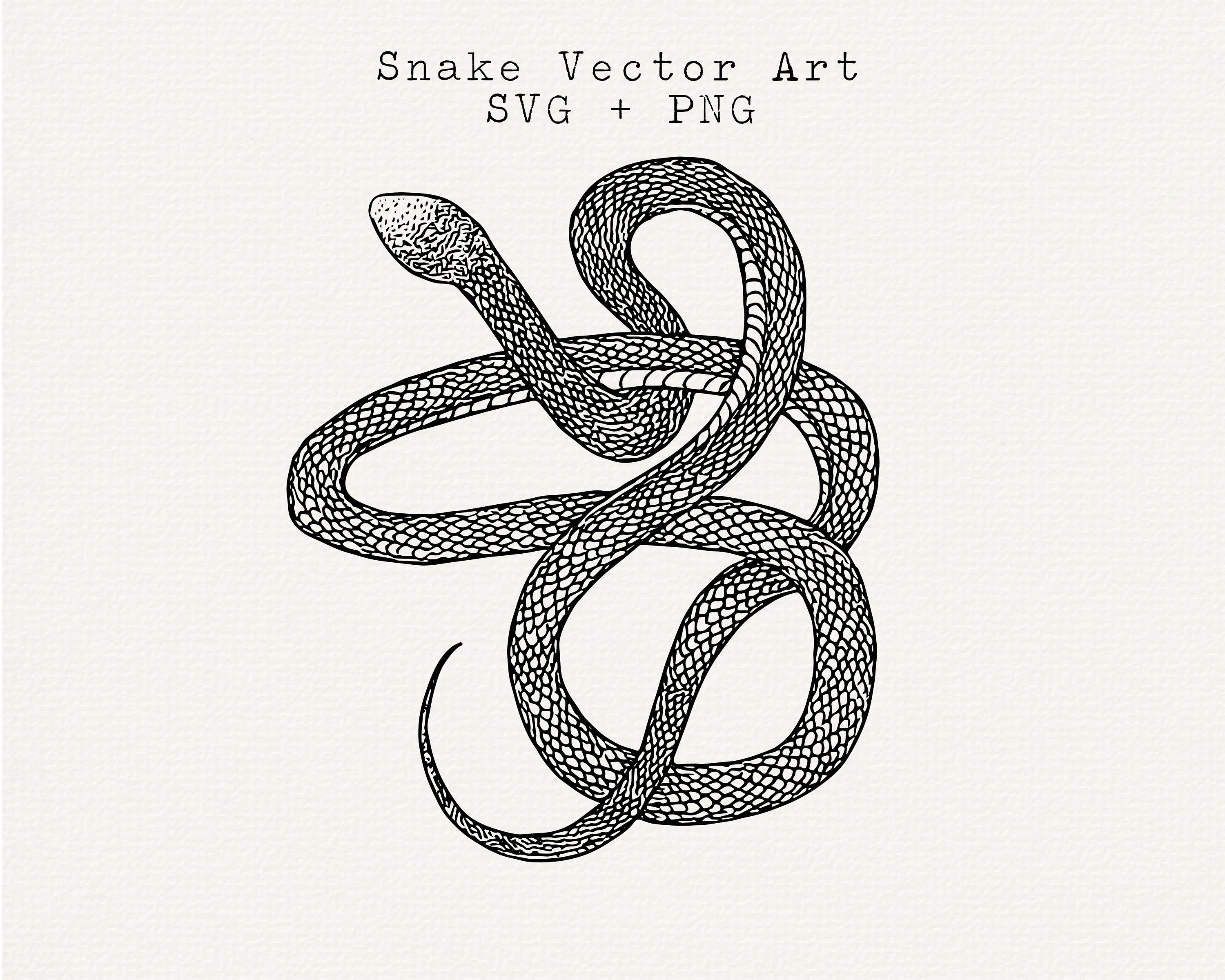 Snake Vector Png