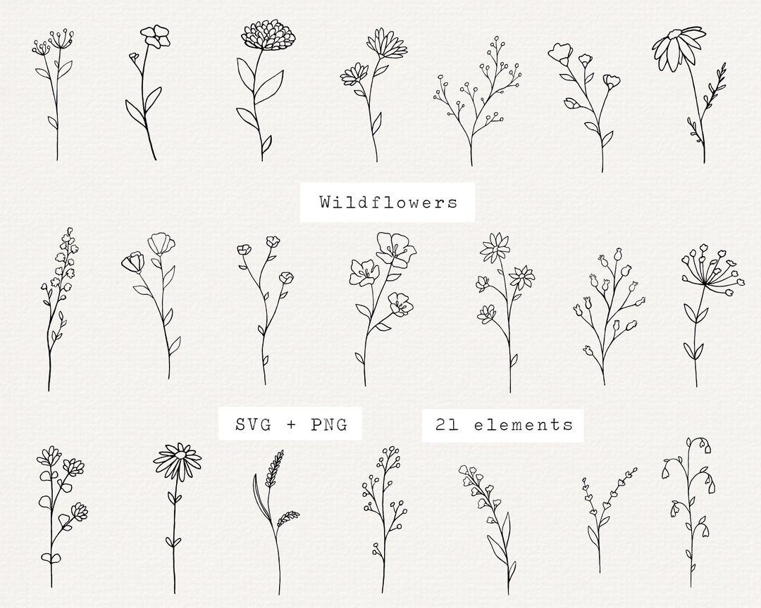 Wildflower SVG, Wildflowers SVG Bundle, SVG File for Cricut, Botanical ...