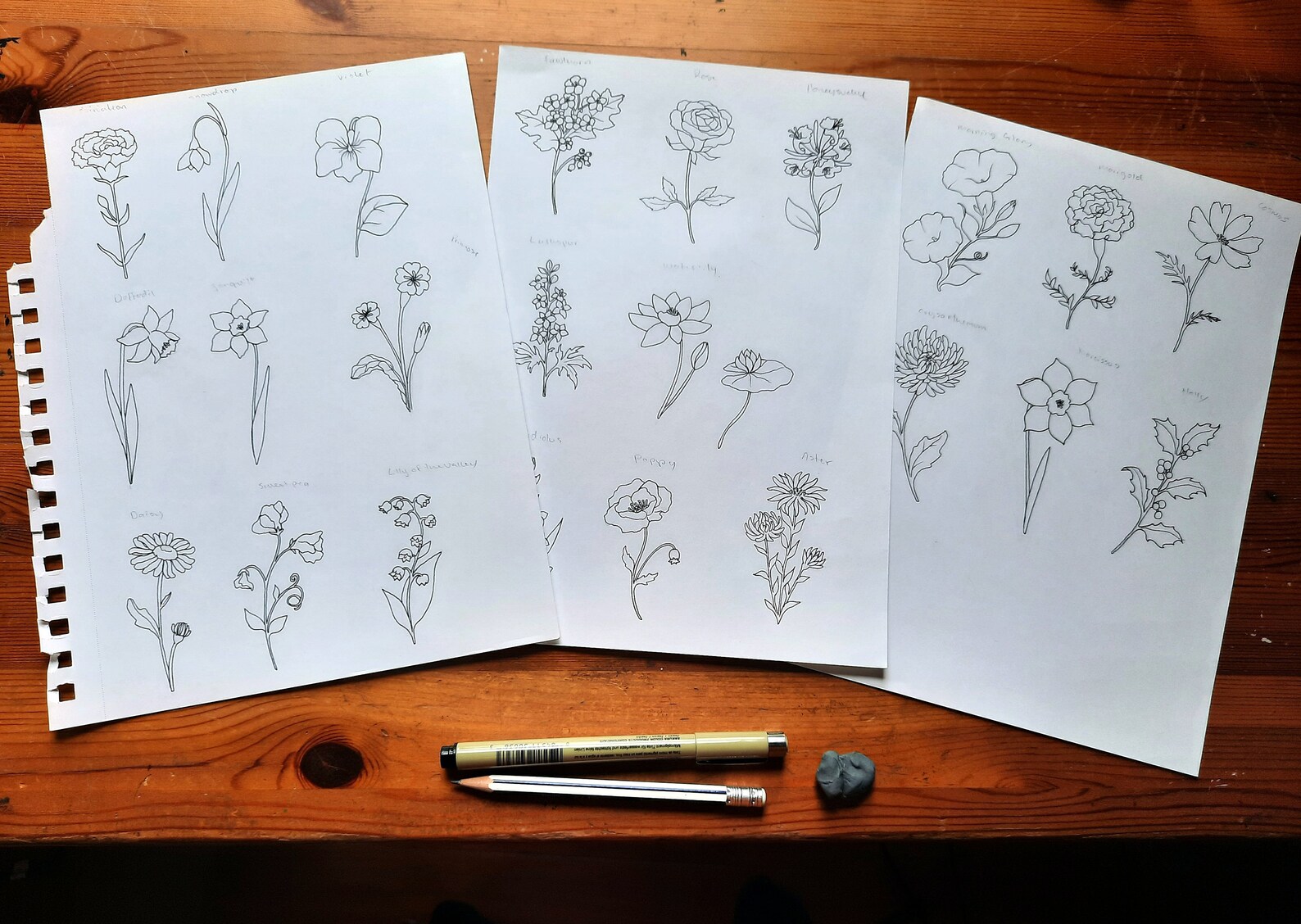 April Birth Month Flower SVG, Daisy & Sweet Pea Floral Clipart, Line ...