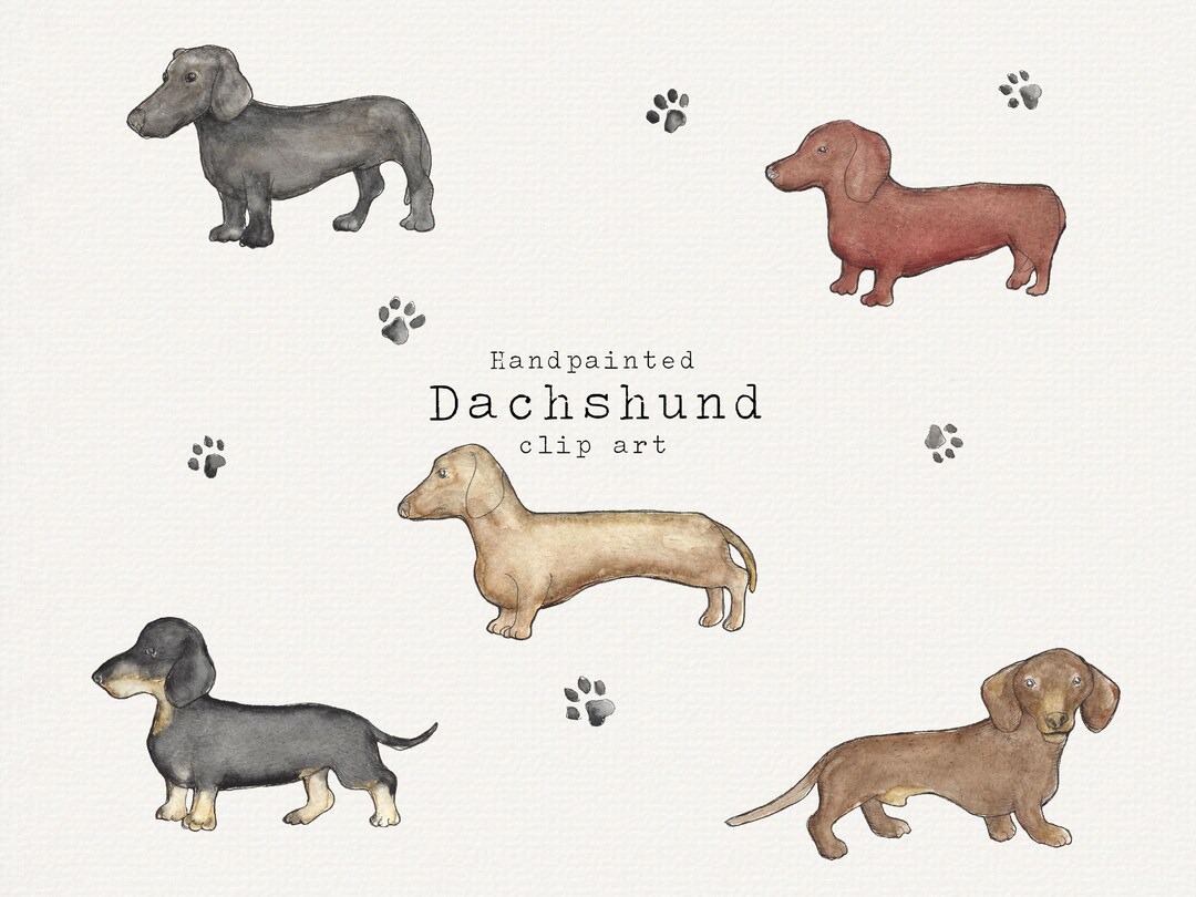 Dachshund Clipart, Dachshund Watercolor Clipart, Hand Painted Dachshund ...
