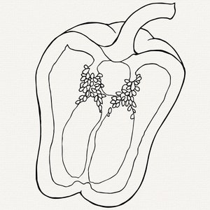 Bell Pepper SVG, Illustration for Commercial Use, Cut File for Cricut ...
