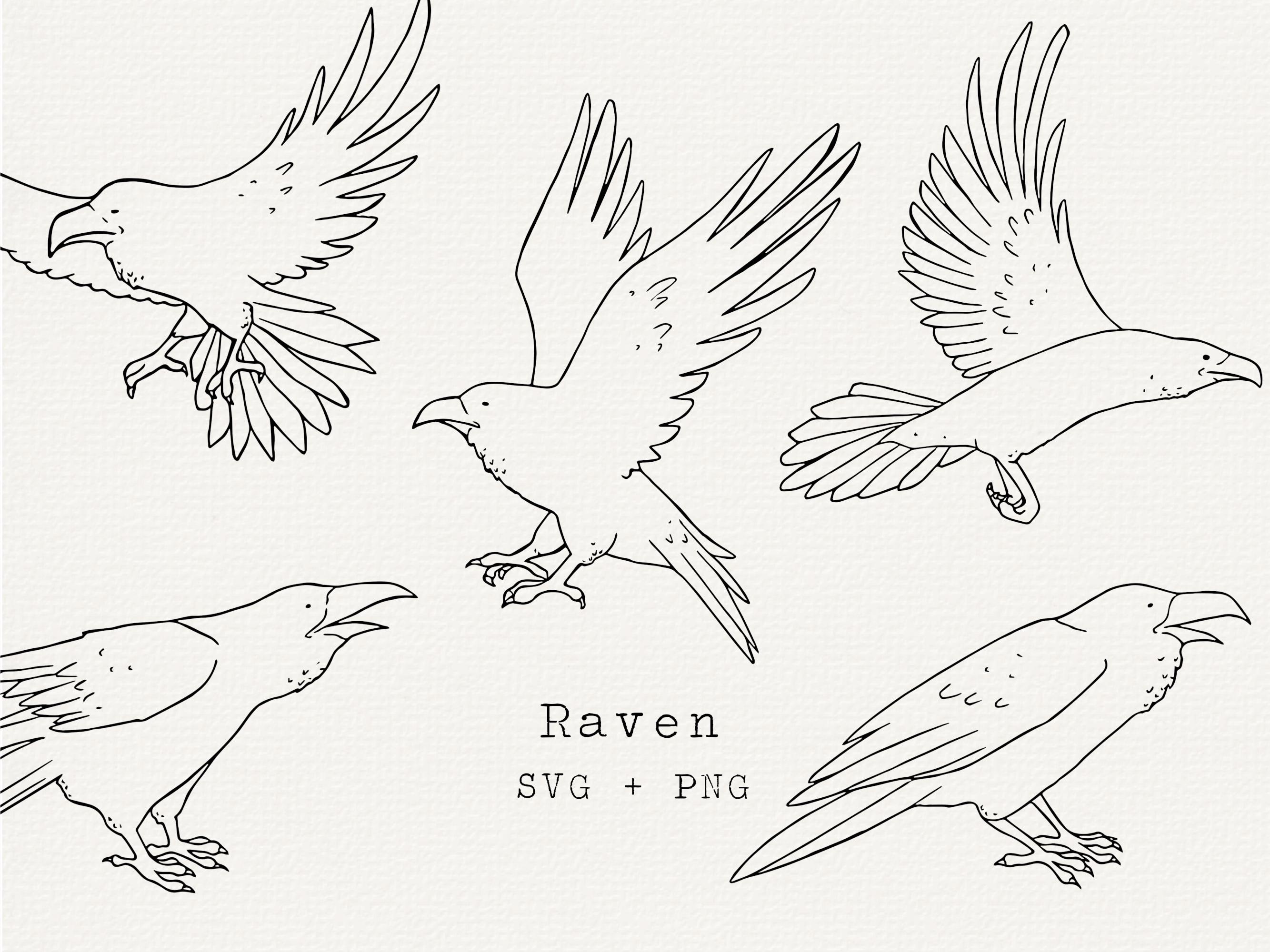 How To Draw A Simple Raven