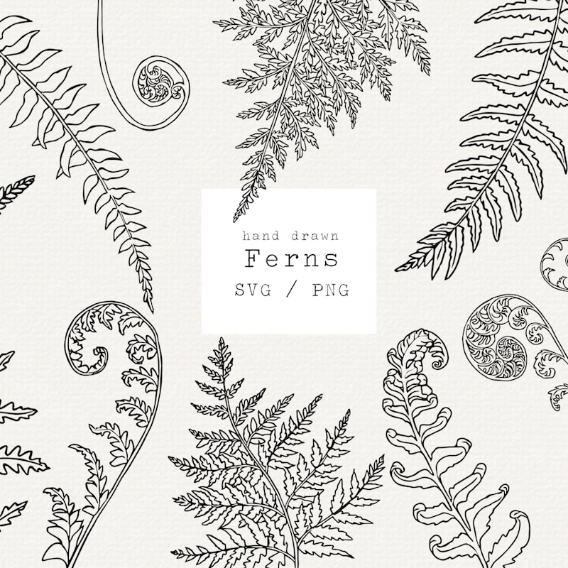 Fern Svg - Etsy