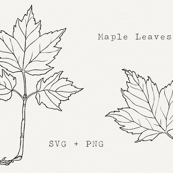 Maple Leaf Line Art - Etsy