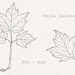 Maple Leaf SVG, PNG, Fall Clip Art, Hand Drawn Autumn Line Art, Simple ...