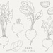 Beet SVG Set, Beets Illustration for Commercial Use, Cut File Cricut ...