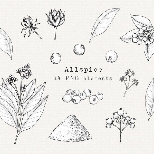 Spice Clip Art - Etsy