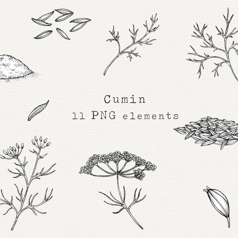 Cumin - Etsy
