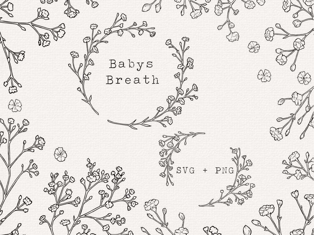 Baby's Breath SVG, Gypsophila Clip Art, Flower Line Art, Cricut Cut ...