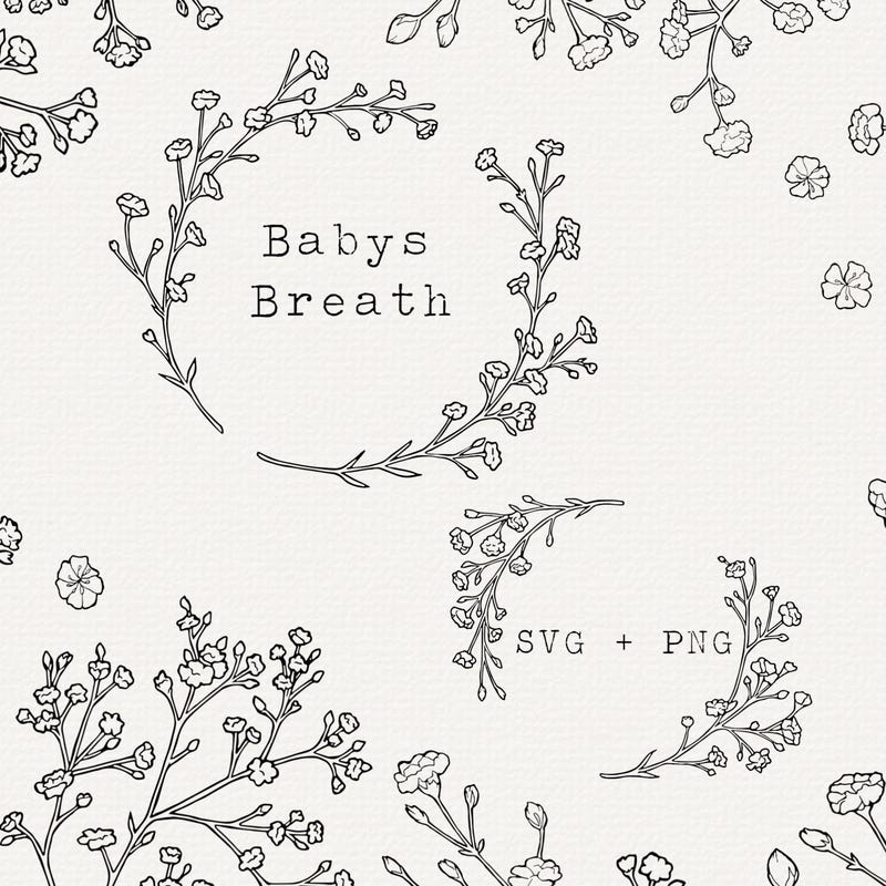 Daisy Border Line Drawing - Etsy