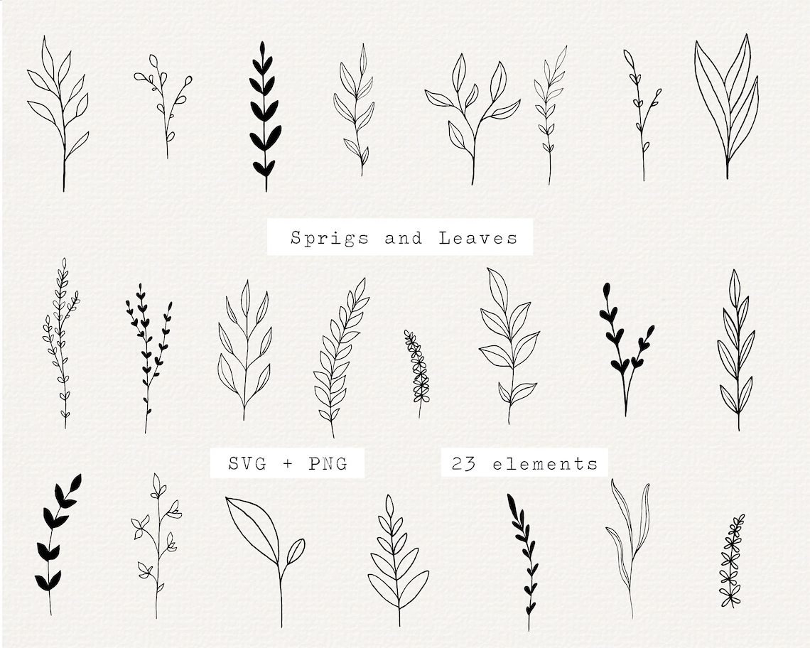 Botanical SVG Bundle Hand Drawn Sprig and Leaf Black Leaf - Etsy