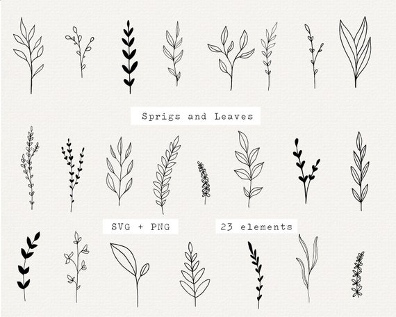 Botanical SVG Bundle Hand Drawn Sprig and Leaf Black Leaf - Etsy