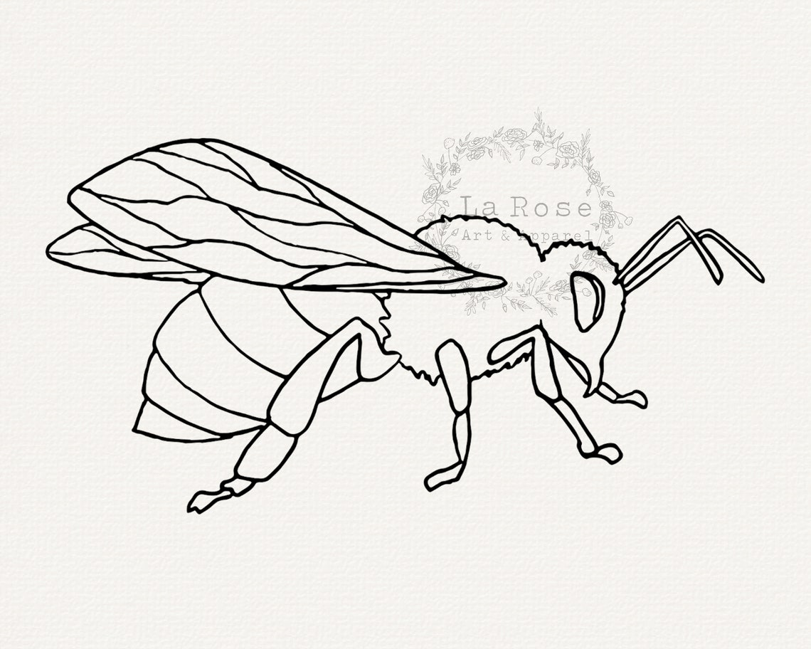 Honeybee SVG Bundle Honeycomb SVG Honey SVG Bee Line Art - Etsy