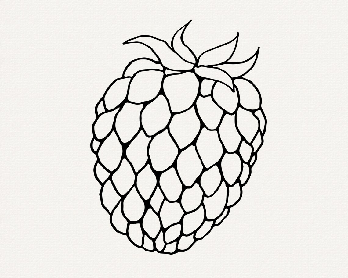 Raspberry SVG for Commercial Use Hand Drawn Raspberry Vector - Etsy