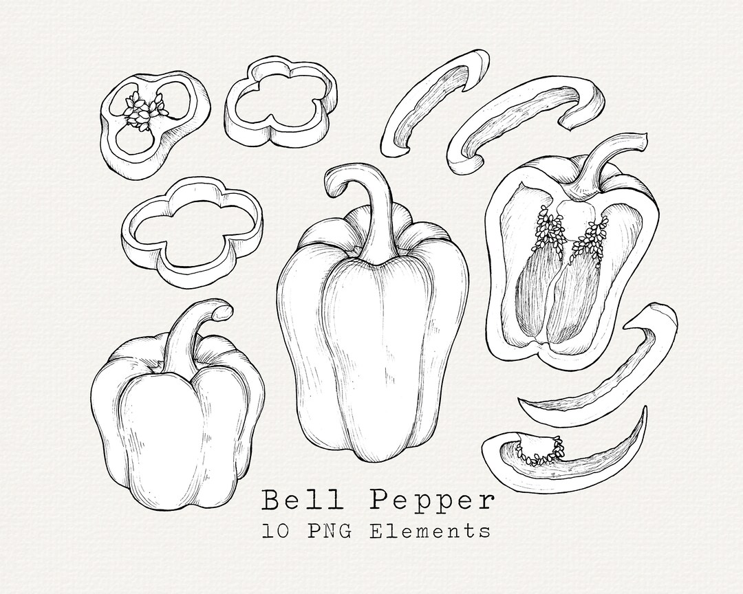 Bell Pepper PNG Clip Art, Hand Drawn Peppers Illustration, Vintage ...