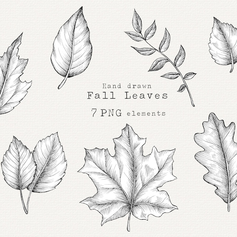 Line Art Autumn - Etsy