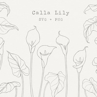 Lily Line Drawing. Svg Png Eps Dxf Cut Files. - Etsy