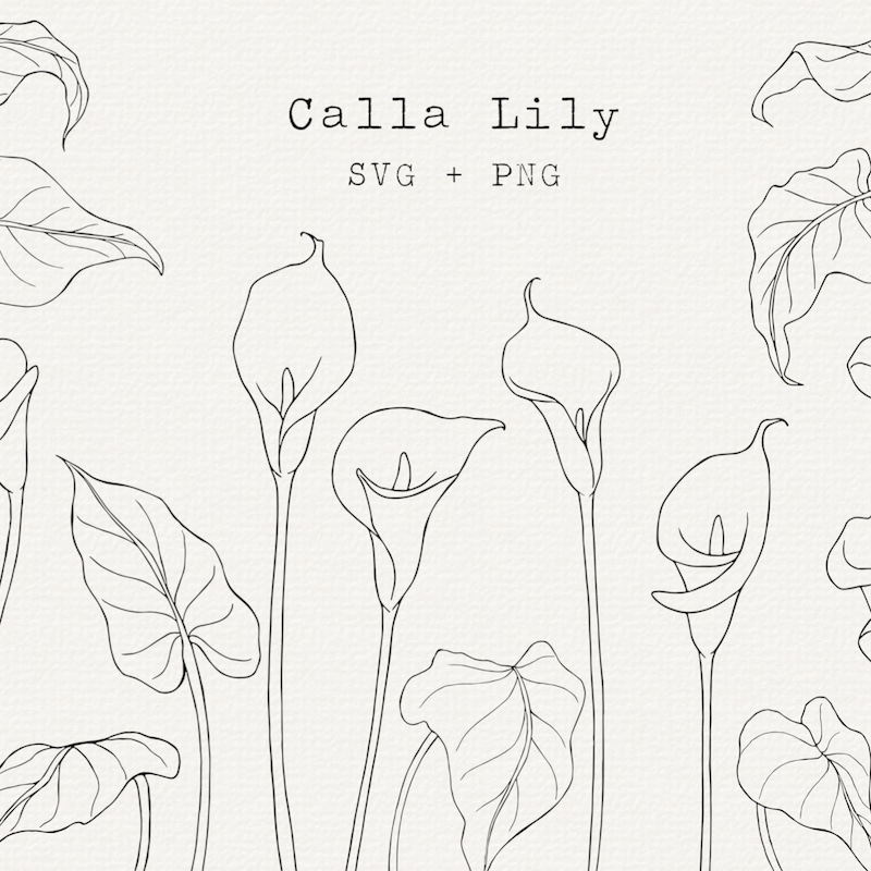Lily Line Art Pattern - Etsy