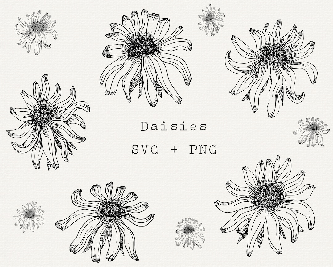 Daisy SVG, Daisy Vector Outline, Spring Flowers Cut File, Instant ...