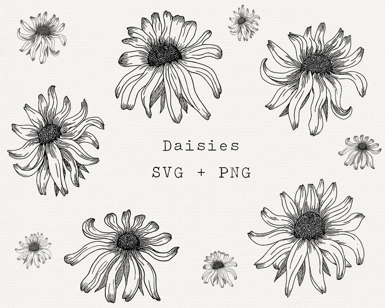 Daisy SVG Daisy Vector Outline Spring Flowers Cut File | Etsy
