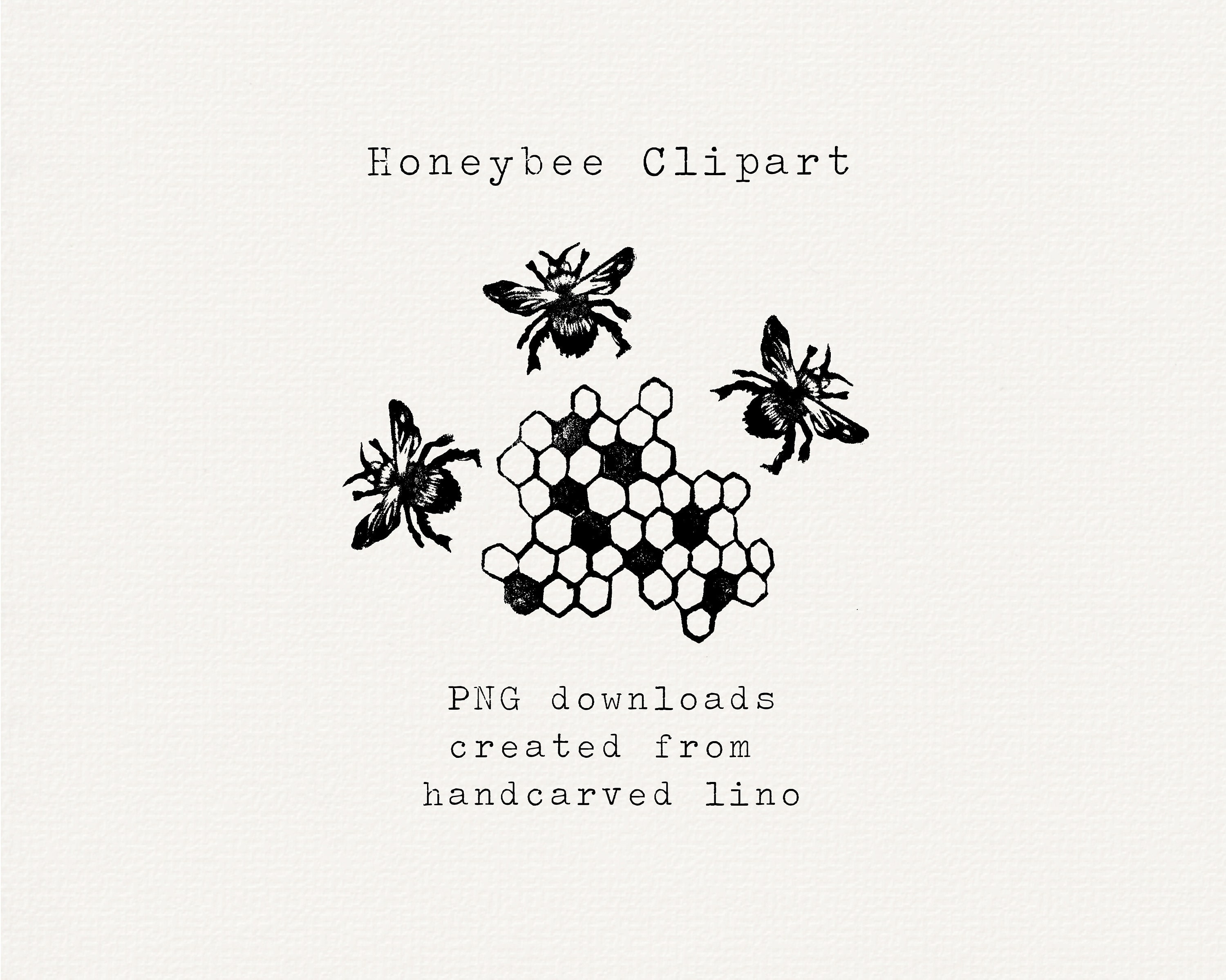Honey Clipart Black And White