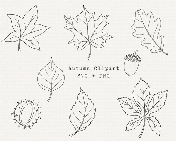 Fall Leaf Clip Art Black And White