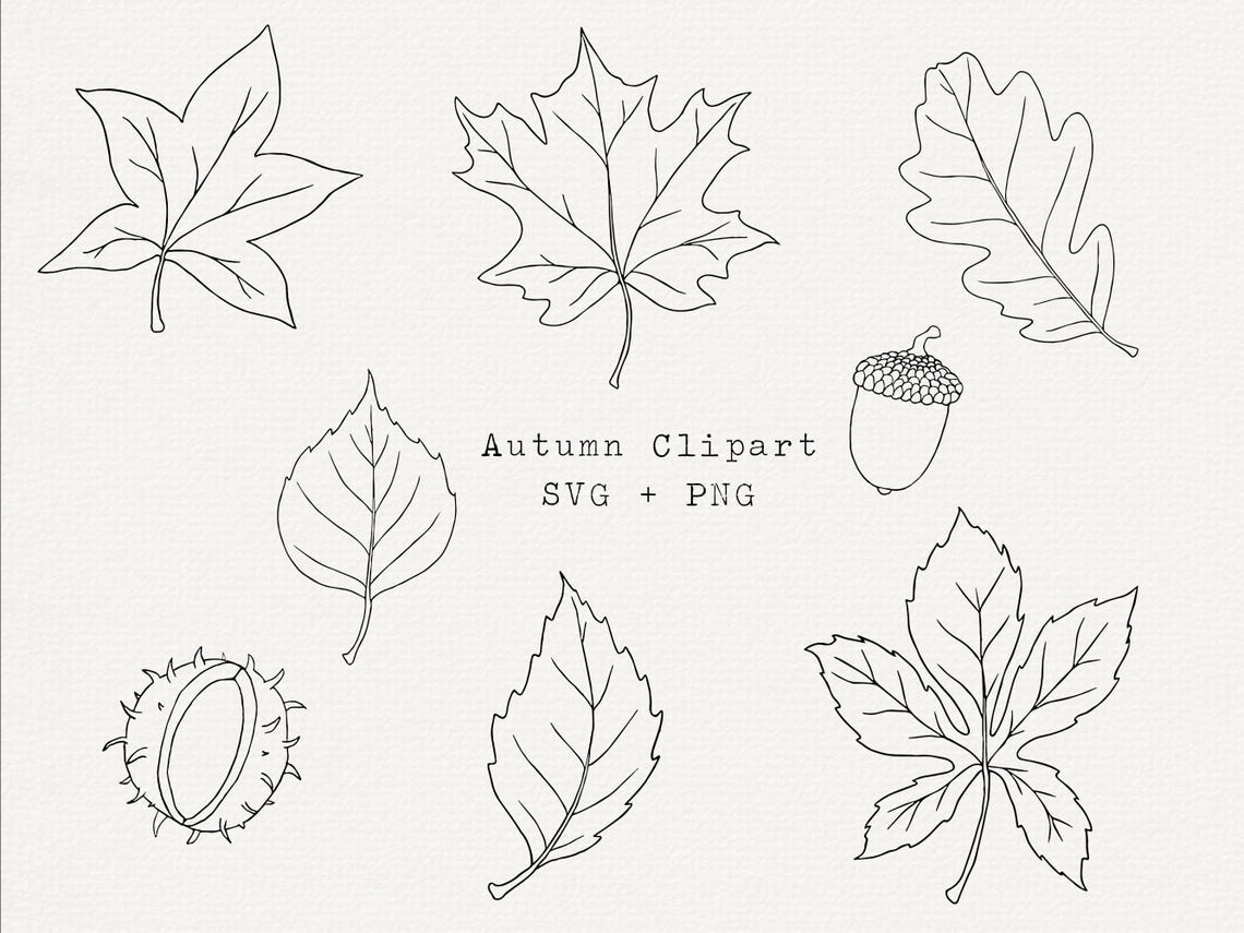 Autumn Leaves Clipart - Fall Leaf SVG, PNG, Botanical Vector Graphics ...