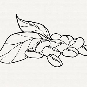 Coffee SVG Bundle, Commercial Use, Coffee Bean Vector, Coffee Plant ...