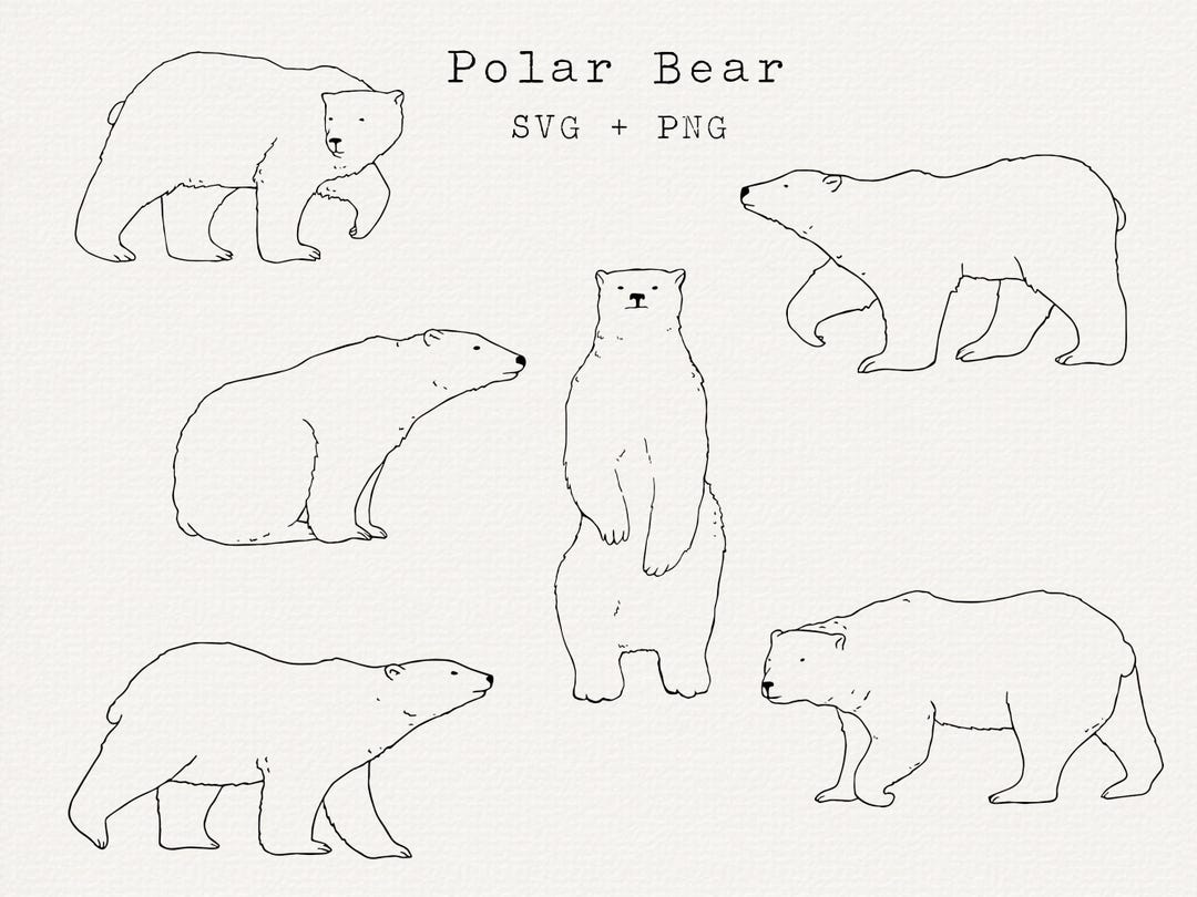 Polar Bear SVG, PNG Clipart - Animal Outline Vector Graphics, Digital ...