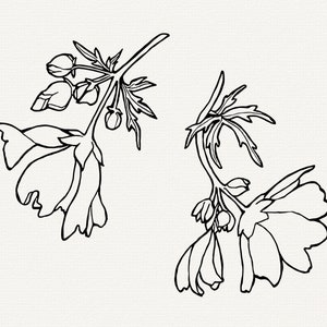 Musk Mallow SVG, Mallow Clip Art Illustration, Vector Line Art, Wild ...