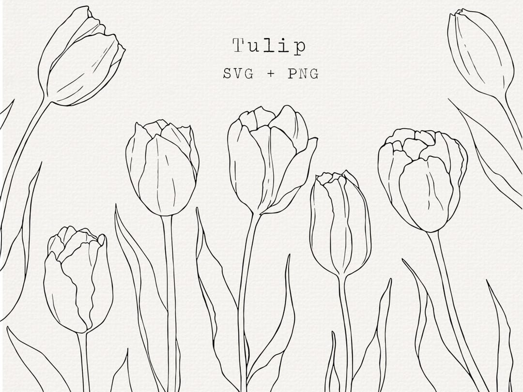 Tulip SVG, Tulips Line Art Clip Art, Flower Line Drawing Vector, Simple ...
