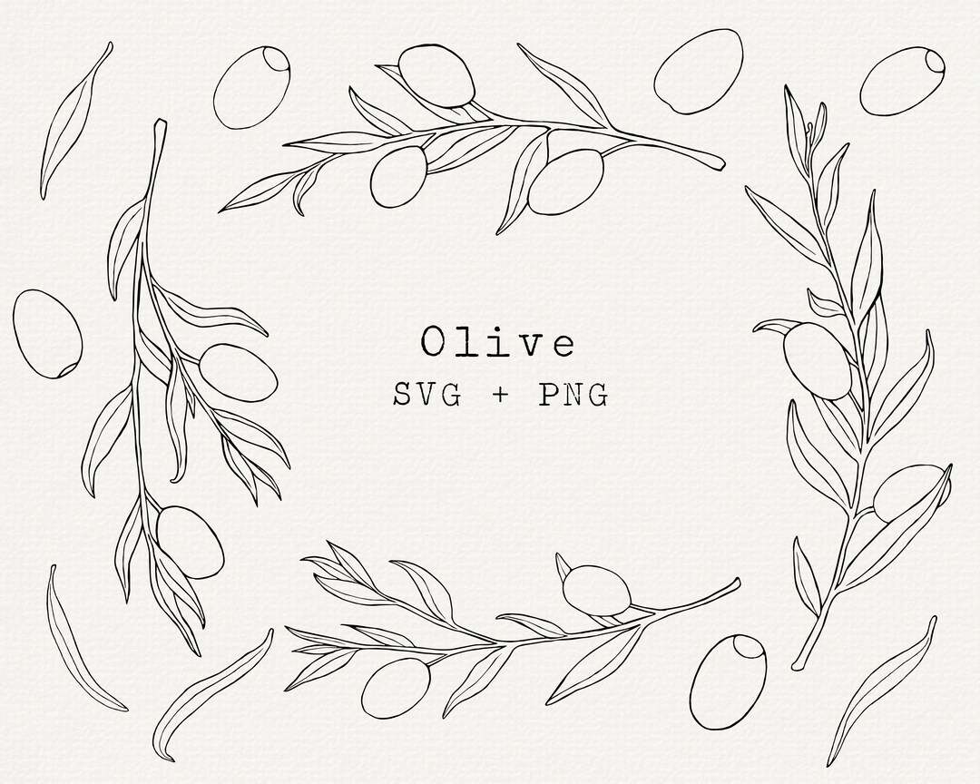 Olive SVG for Commercial Use, Hand Drawn Olive Branch Vector, Olive ...