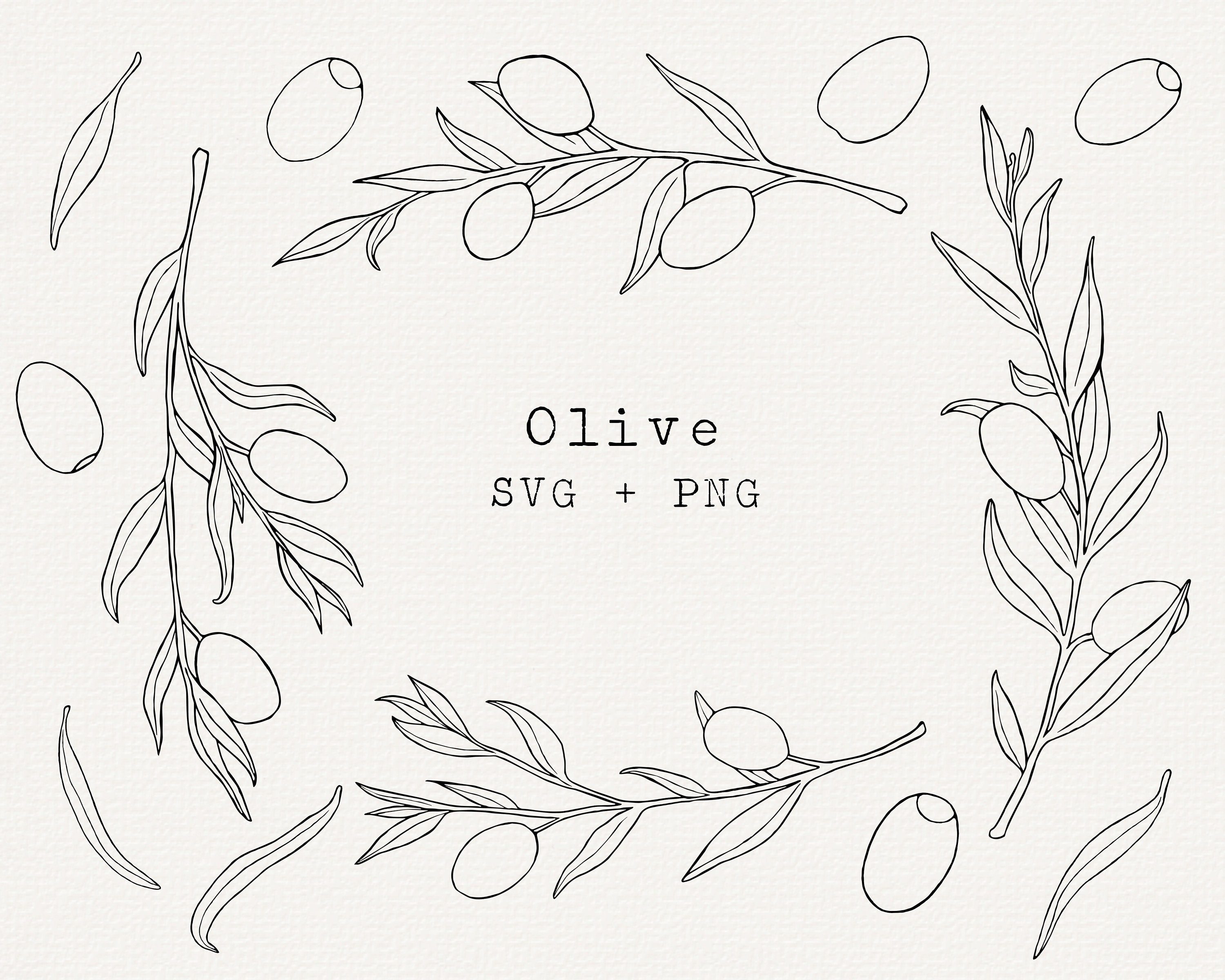 Olive SVG for Commercial Use Hand Drawn Olive Branch Vector - Etsy