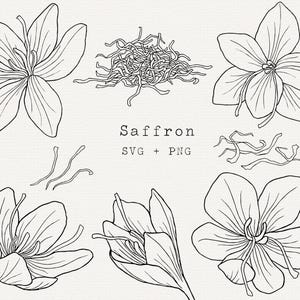 Saffron SVG Clip Art, Commercial Use, Saffron Flower Vector ...