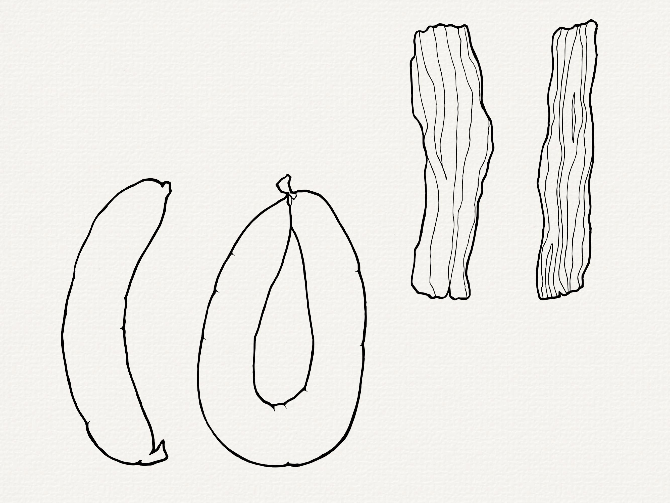 Meat SVG, Butcher Cut PNG, Food Outline Clipart, Steak, Sausage, Fish ...