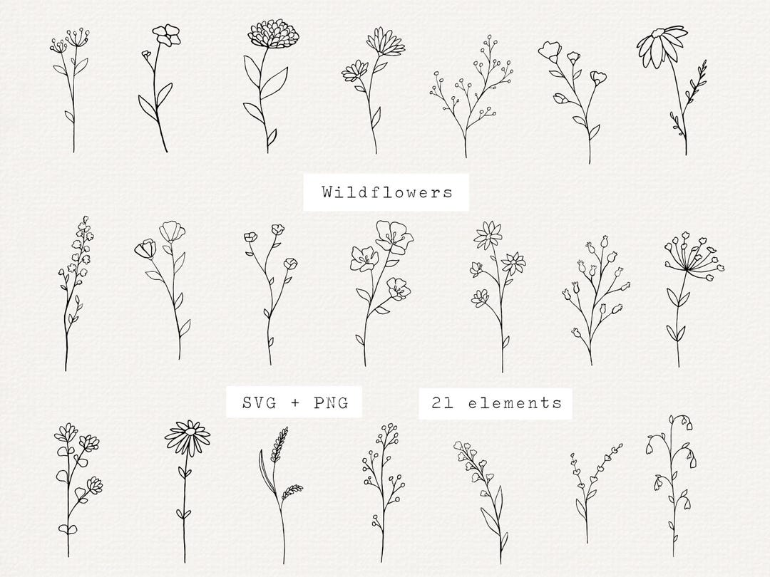 Wildflower Line Art SVG Bundle, Botanical Spring Flowers (SVG, PNG) - Etsy