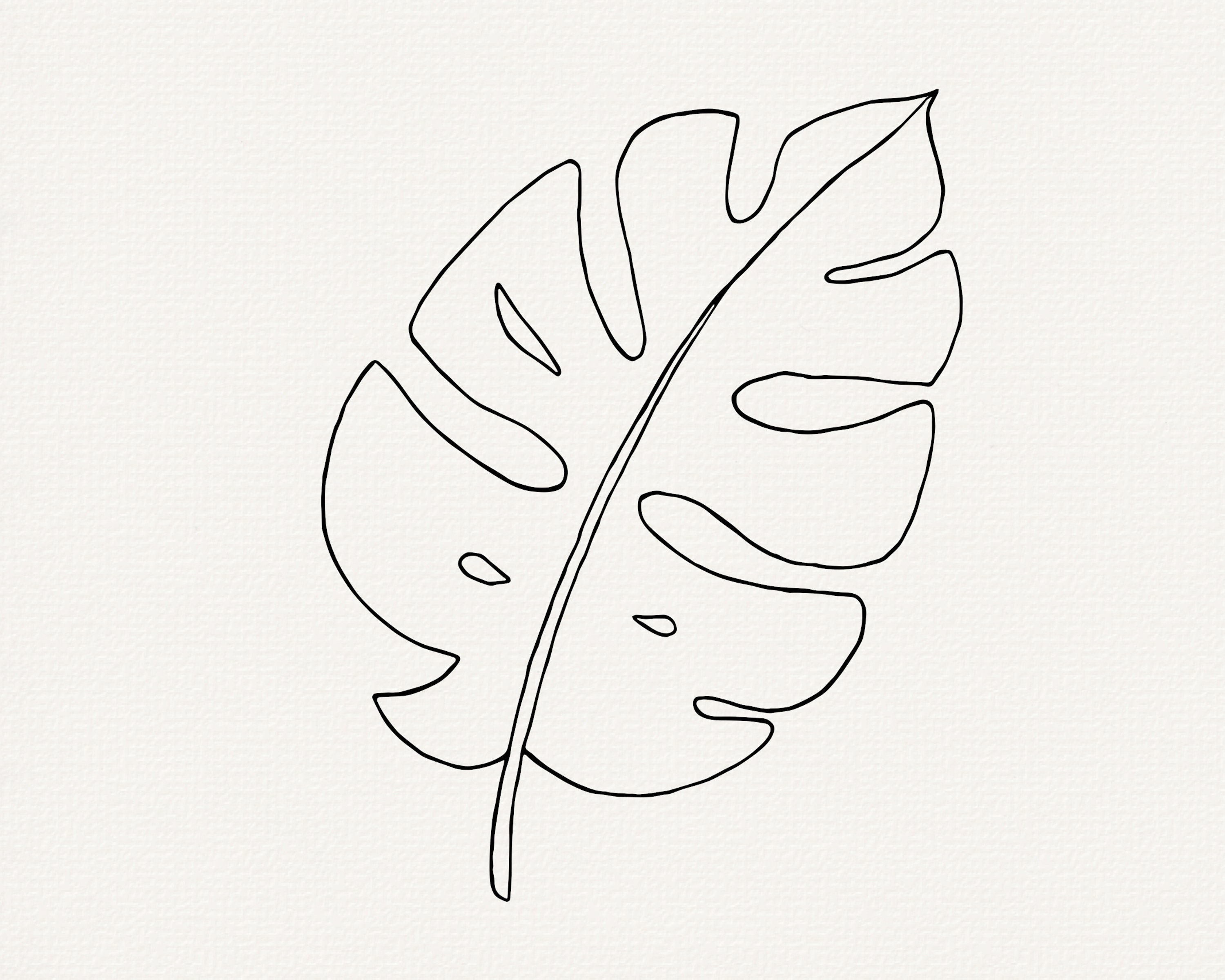 Tropical Leaf Svg Bundle Tropical Leaves Clipart Summer Etsy