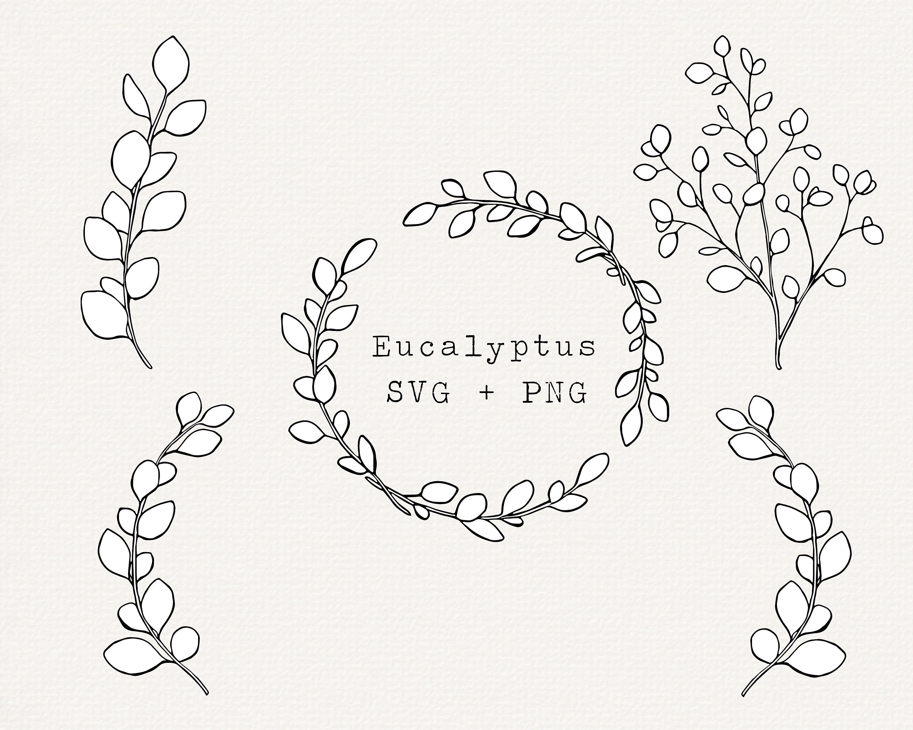 Eucalyptus SVG Eucalyptus Line Art Hand Drawn Eucalyptus | Etsy