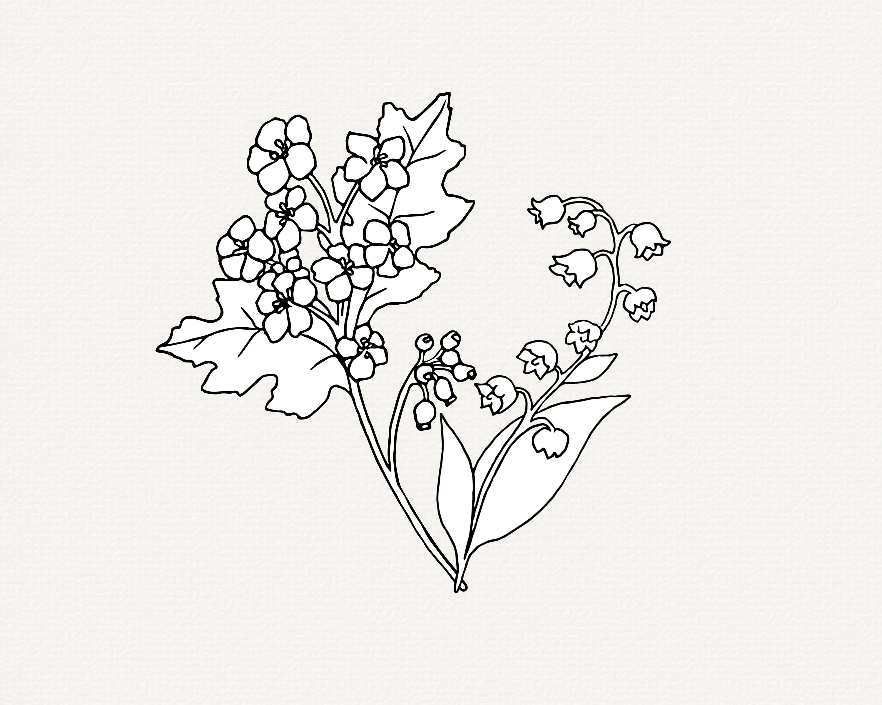 Lily of the Valley SVG Hawthorn SVG May Birth Month Flowers | Etsy India