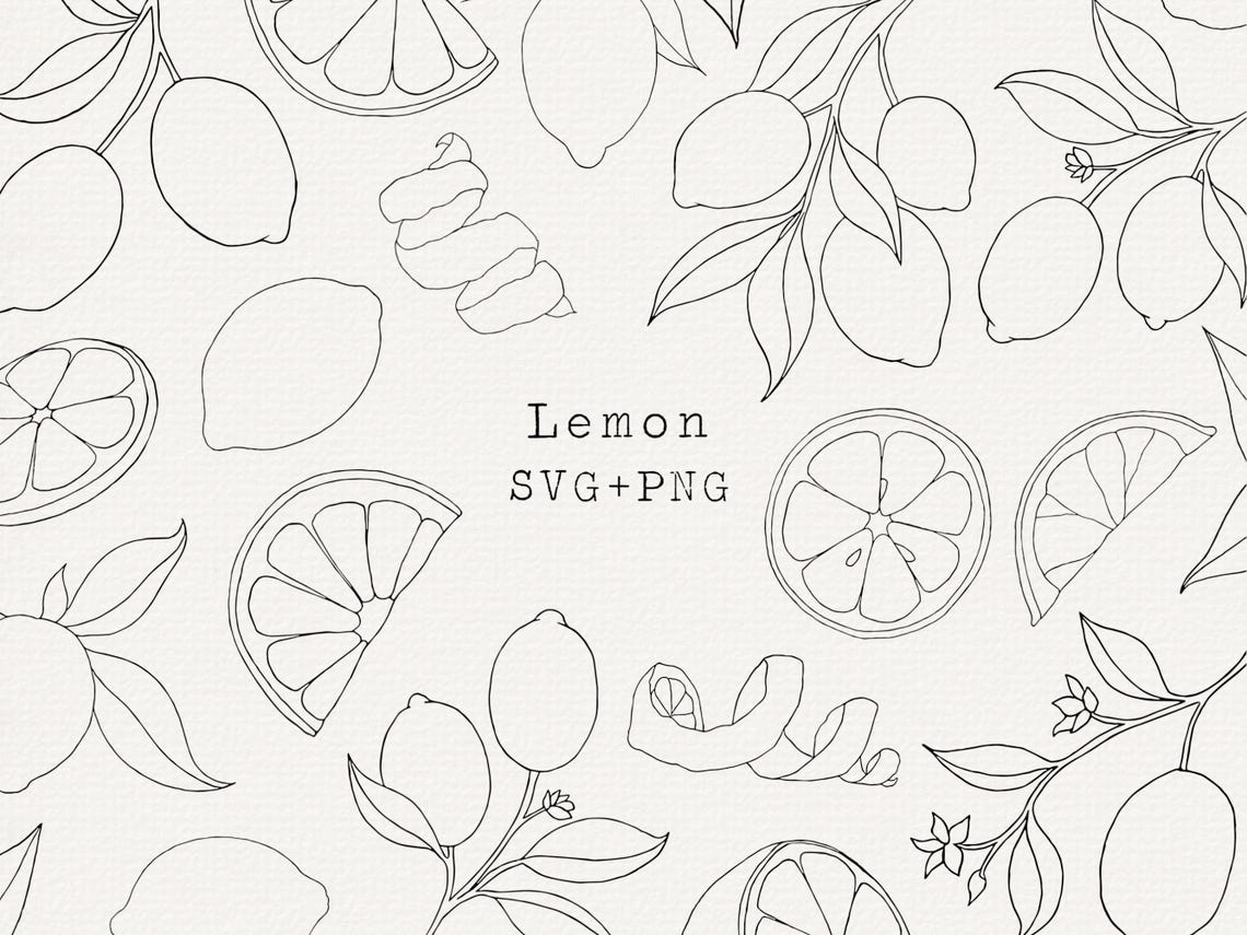 Lemon SVG Bundle, Lemons Botanical Illustration for Commercial Use, Cut ...