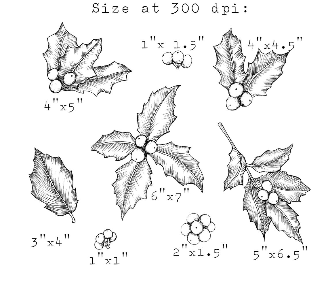 Holly Leaves Clip Art Christmas Line Art Holly Botanical Line - Etsy Canada